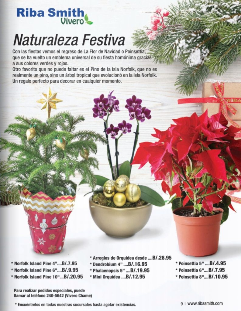 Catálogo de Navidad Riba Smith 2020 - Comprar en Panamá